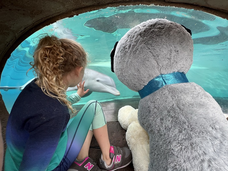 Christmas Celebration SeaWorld Orlando - Working Family Travels